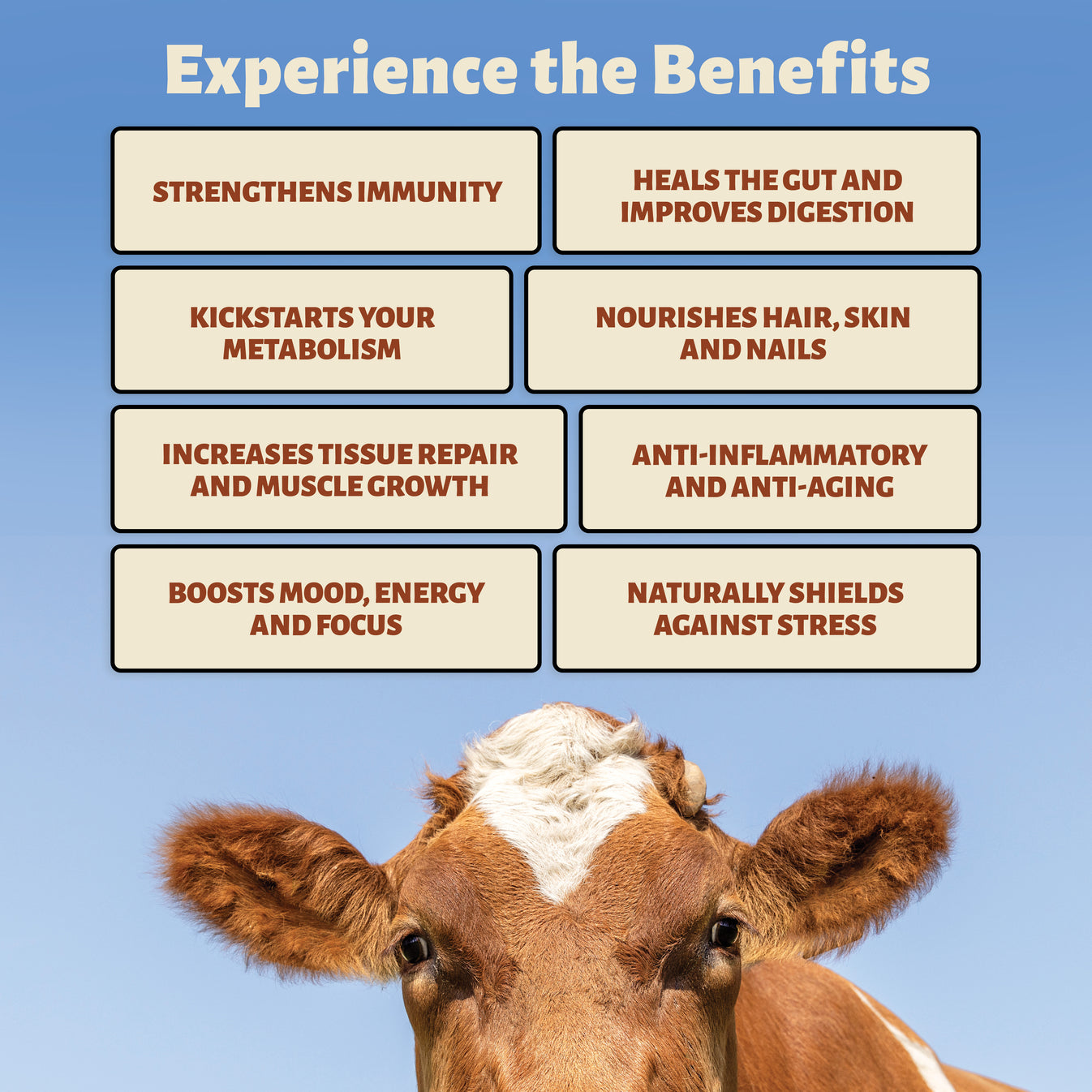 Colostrum Capsules – Holy Cow Health